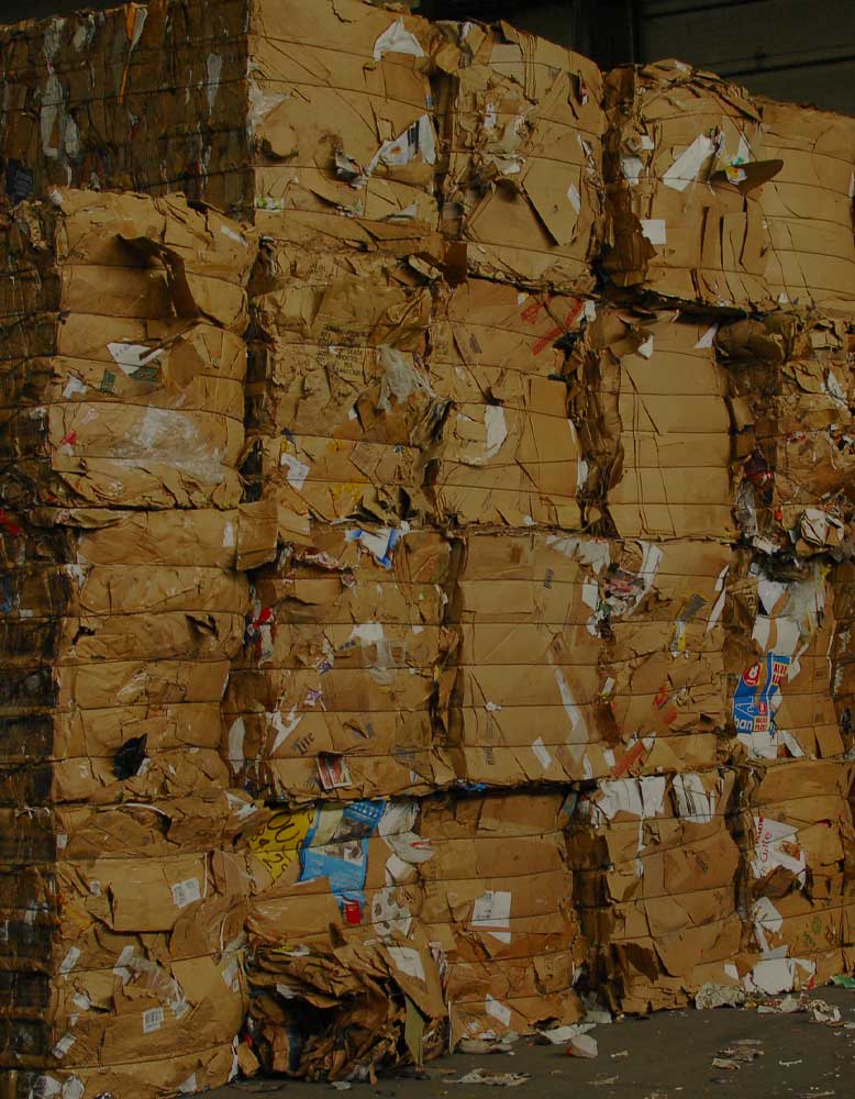 Louis Cohen Recycling